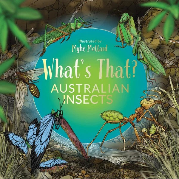 What's That? Australian Insects – Hugs For Kids